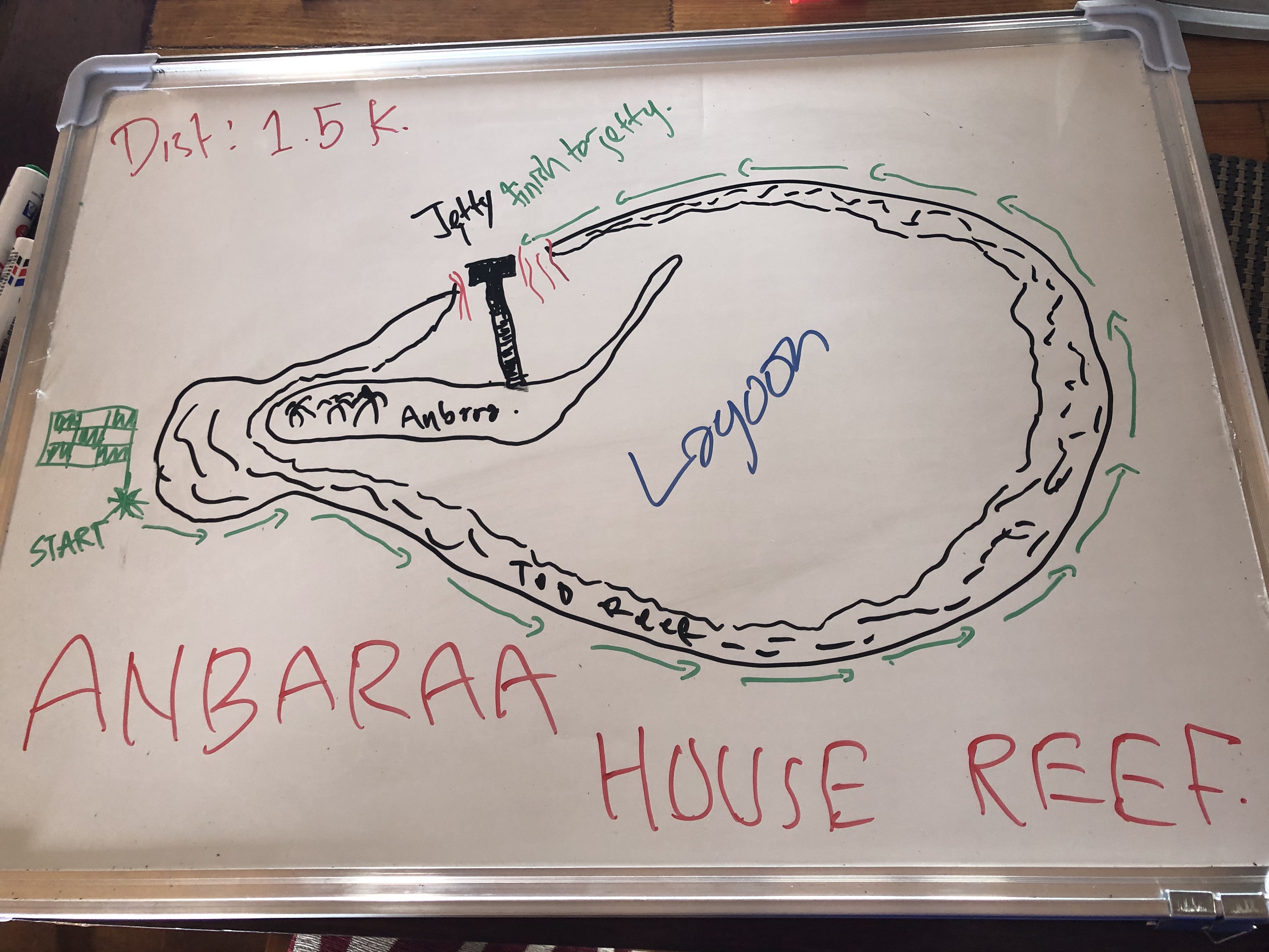 Maldives4: All About the Fish – SwimType